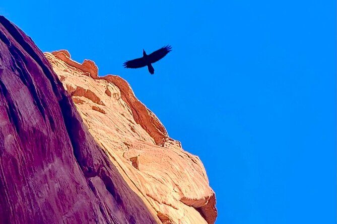 Lake Powell Kayak and Water Antelope Canyon Hike Guided Tour - FAQ