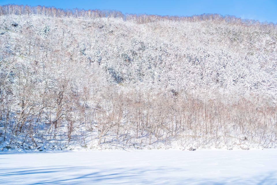 Lake Tachibana: Snowshoe to a Frozen Lake! - Experience Highlights