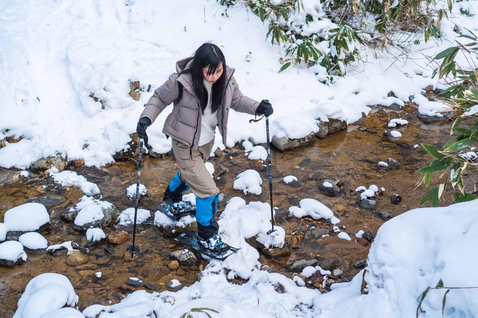 Lake Tachibana: Snowshoe to a Frozen Lake! - What to Expect on the Snowshoeing Trail