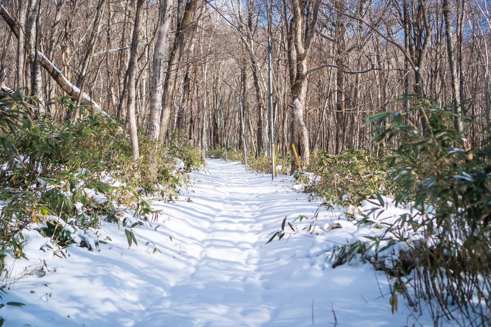 Lake Tachibana: Snowshoe to a Frozen Lake! - Enjoying the Frozen Lake