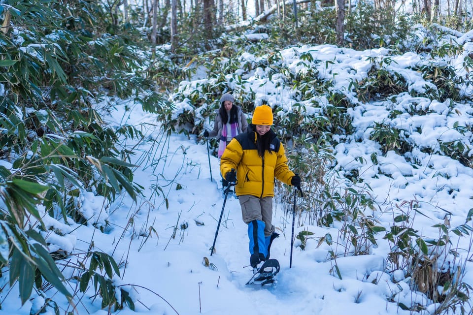 Lake Tachibana: Snowshoe to a Frozen Lake! - Frequently Asked Questions
