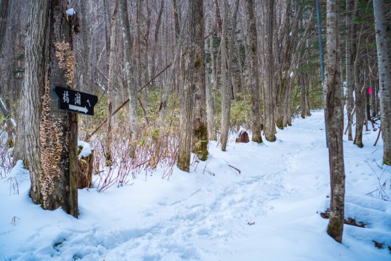Lake Tachibana Snowshoeing Tour - Key Points