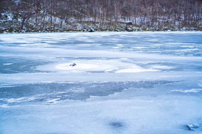 Lake Tachibana Snowshoeing Tour - Experience Highlights