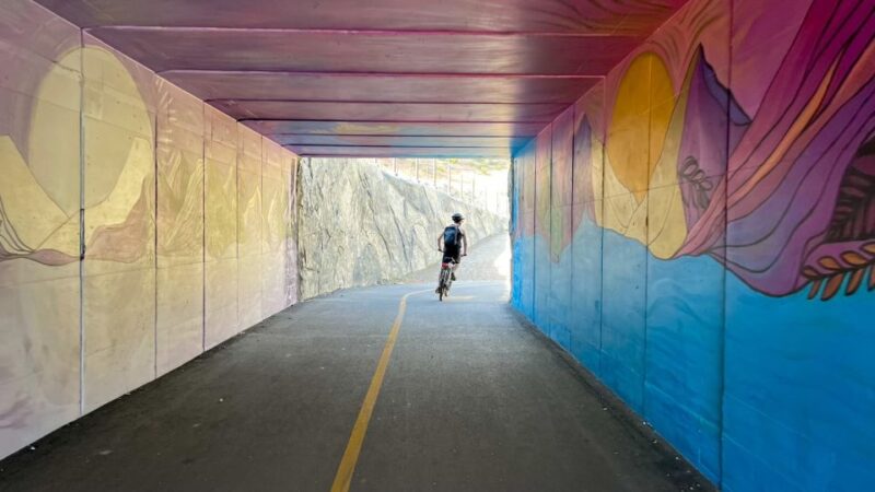 Lake Tahoe: Electric Bike Day Rental - Key Points