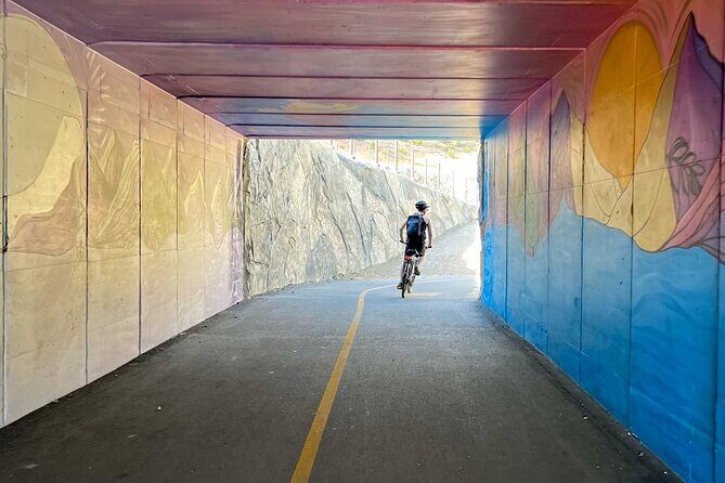 Lake Tahoe: Full Day Self-Guided Bike Tour - Who Will Love This Tour?