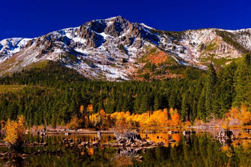Lake Tahoe: Half-Day Photographic Scenic Tour - Explore the Scenic Highlights of Lake Tahoe