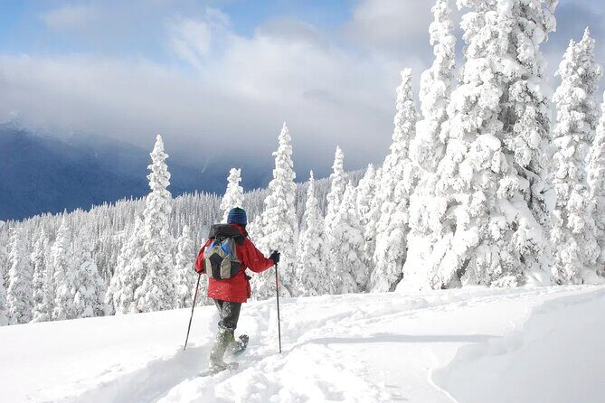 Lake Tahoe Snowshoe Rental Packages - An In-Depth Look at the Lake Tahoe Snowshoe Rental Experience
