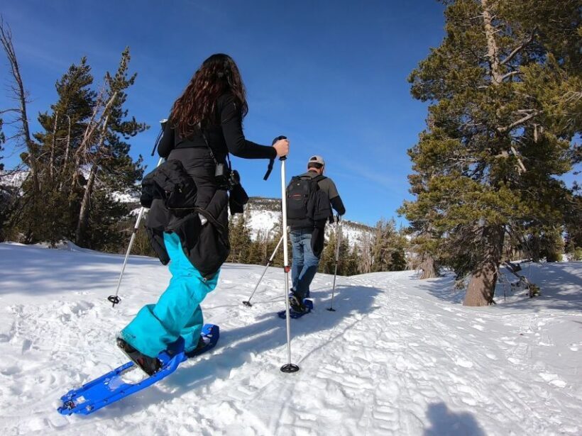 Lake Tahoe: Snowshoeing Guided Tour - Final Thoughts: Is This Tour Worth It?