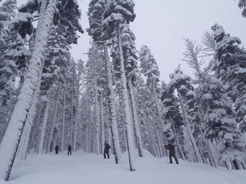 Lake Tahoe: Snowshoeing Guided Tour - FAQ