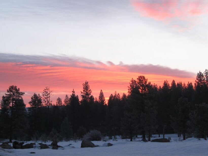 Lake Tahoe: Sunset Snowshoe Trek with Hot Drinks and Snacks - Warmth and Comfort: Hot Drinks and Snacks