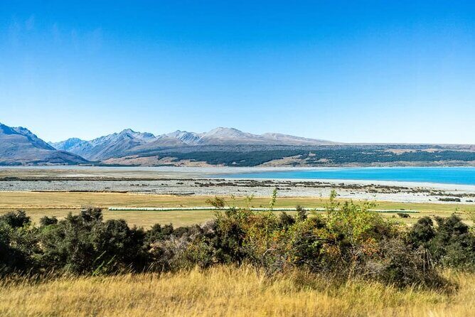 Lake Tekapo and Aoraki Mount Cook - An Overview of the Tour Experience
