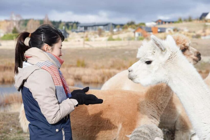 Lake Tekapo High Country Farm Tour (Carbon Positive) - What Sets This Tour Apart?