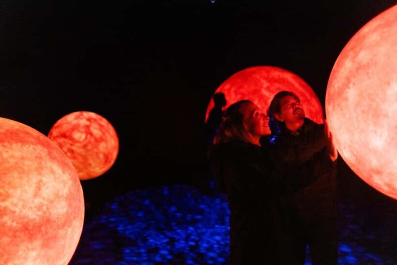 Lake Tekapo: Indoor Mori Cultural Astronomy Experience - The Bottom Line: Is It Worth It?