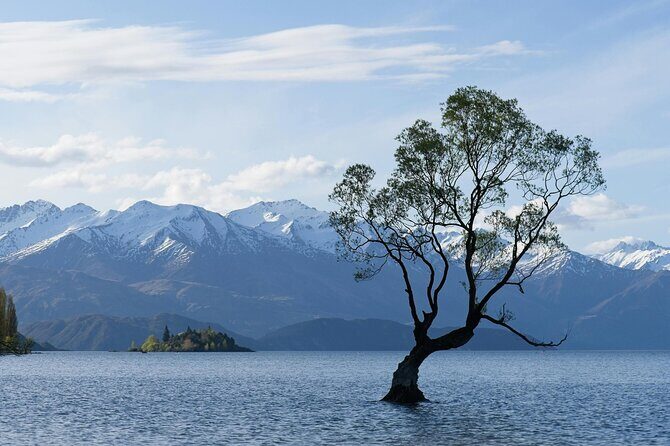 Lake Tekapo Private Day Trip from Queenstown - Exploring South Island’s Lakeside Towns: Wanaka or Cromwell
