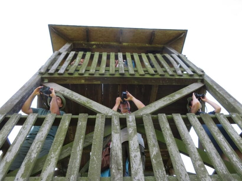 Lake Tisza: Boat trip in the Bird Paradise - Who Should Consider This Tour?