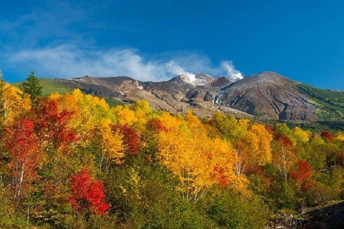 Lake Toya and Noboribatsu Hell Valley Private Day Trip - Traveler Experience and Reviews
