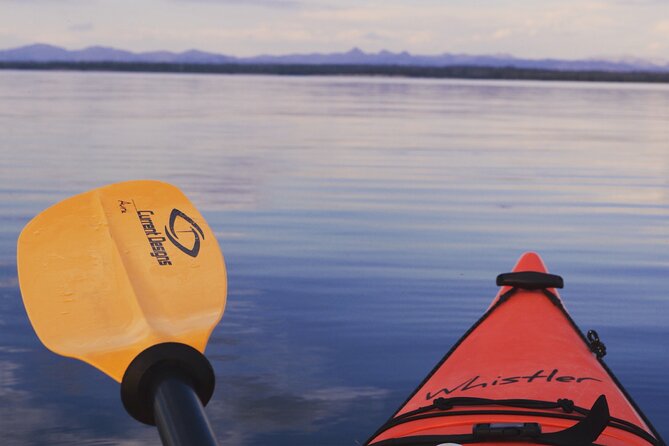 Lake Yellowstone Half Day Kayak Tours Past Geothermal Features - Meeting Details and Logistics