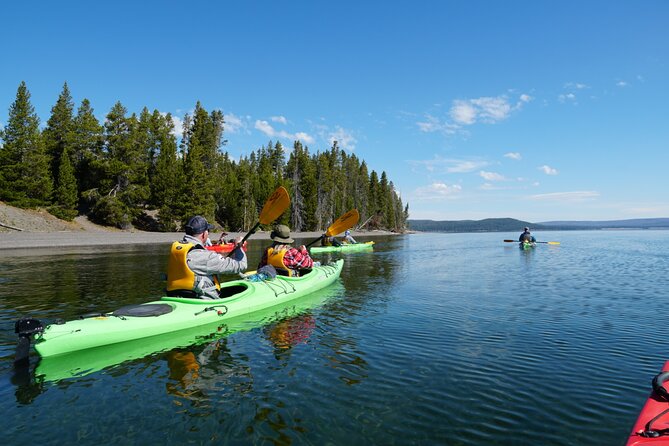 Lake Yellowstone Half Day Kayak Tours Past Geothermal Features - Customer Feedback and Highlights