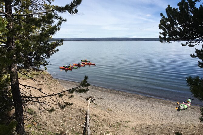 Lake Yellowstone Half Day Kayak Tours Past Geothermal Features - Exploring the Volcanic Lake