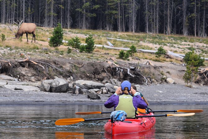 Lake Yellowstone Half Day Kayak Tours Past Geothermal Features - Appreciating the Unique Ecosystem