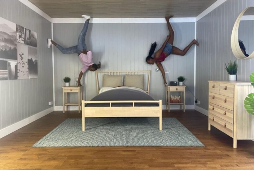 Lakeside: Upside Down House Entry Ticket - Introduction