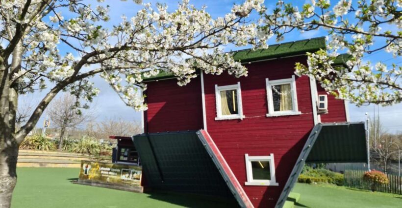 Lakeside: Upside Down House Entry Ticket - What Makes This Experience Special?