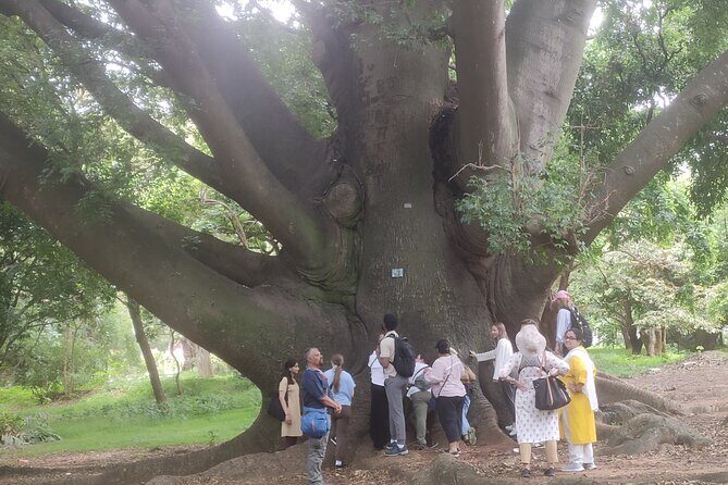Lalbagh Botanical Garden Early Morning Walk + Breakfast at MTR - Frequently Asked Questions