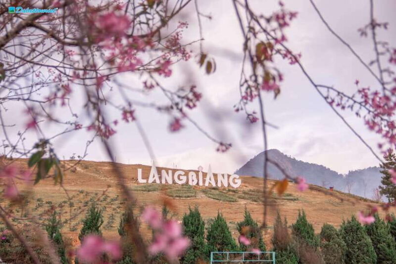 Lâm ng : Lang Biang Mountain Ticket - Key Points
