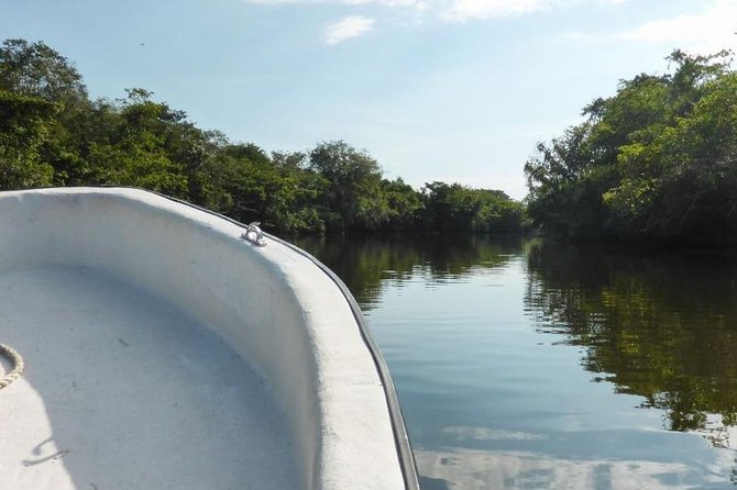 Lamanai Temples, River Wildlife Tour - Key Points