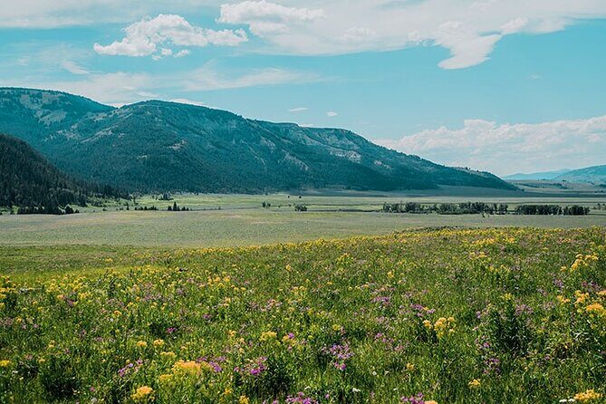 Lamar River Valley Day Hike Tour - A Closer Look at the Experience
