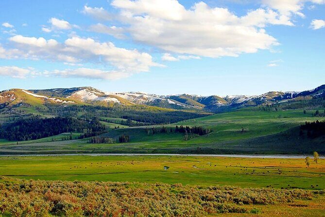Lamar River Valley Day Hike Tour - What’s Included and What’s Not