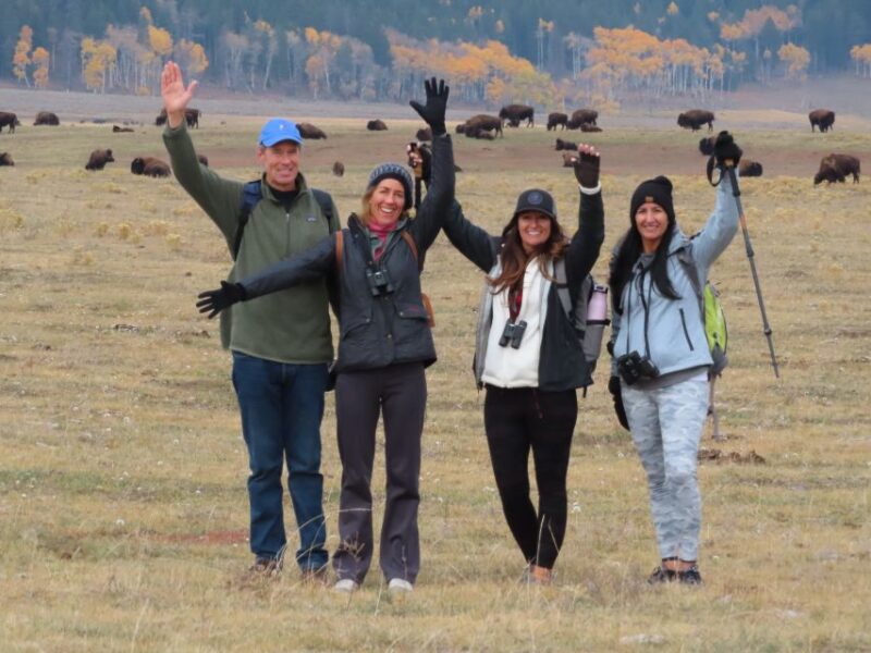 Lamar Valley: Safari Hiking Tour with Lunch - The Sum Up
