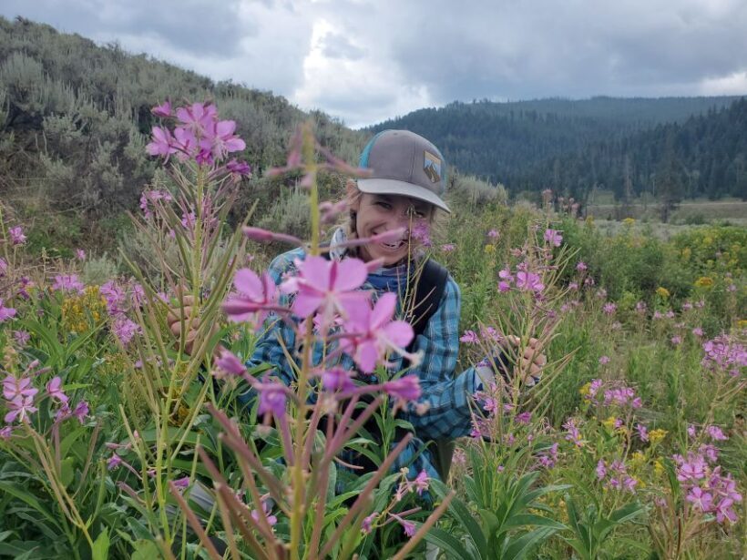 Lamar Valley: Safari Hiking Tour with Lunch - Who Should Consider This Tour?