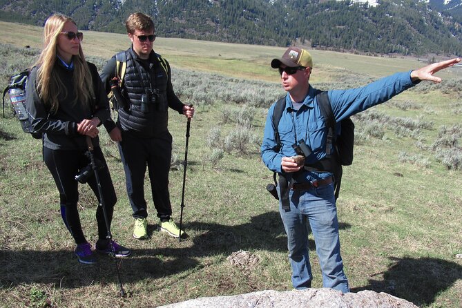 Lamar Valley Safari Hiking Tour With Lunch - Lunch and Gear Included for a Comfortable Hike