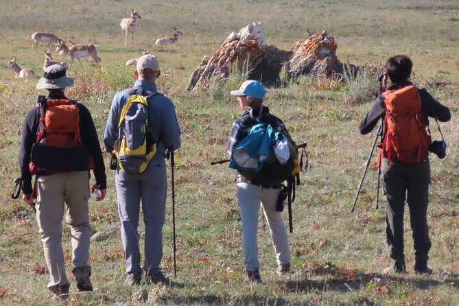 Lamar Valley Safari Hiking Tour With Lunch - Experienced and Knowledgeable Tour Guides