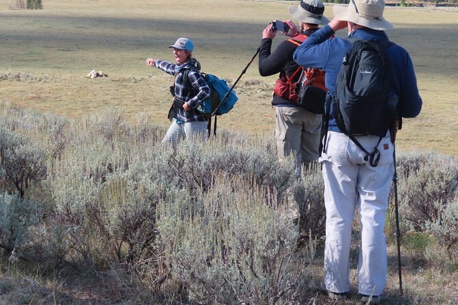 Lamar Valley Safari Hiking Tour With Lunch - Accessibility and Contact Information