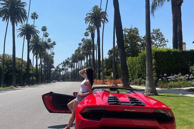 Lamborghini Drive Private Tour from Beverly Hills to Hollywood - Who Will Love This Tour?