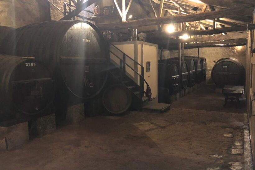 Lamego: Quinta da Portela de Baixo Winery Tour and Tasting - What Reviewers Say