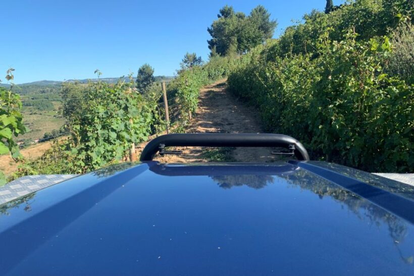 Lamego: Quinta da Portela de Baixo Winery Tour and Tasting - Practical Tips for Visitors