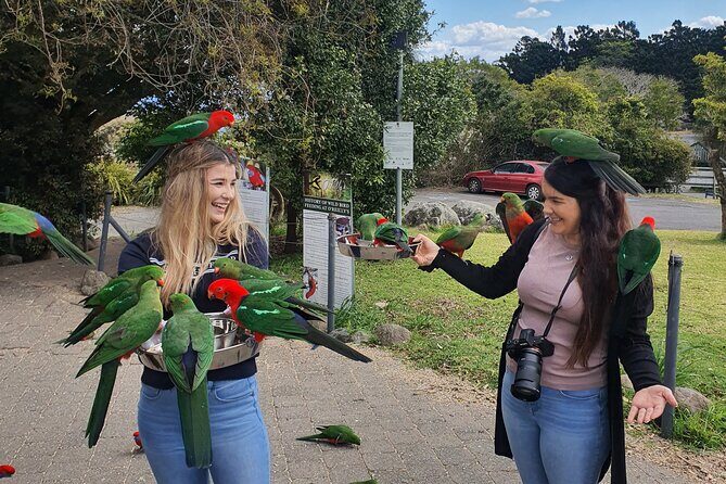 Lamington National Park, O'Reilly's & Vineyard Tour - The Stunning Gateway: Lamington National Park