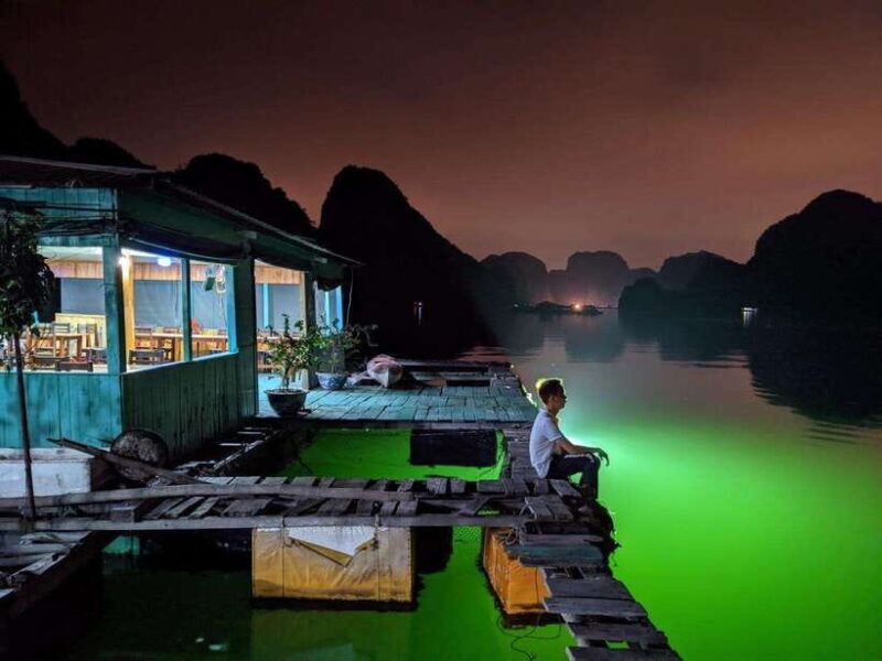 Lan Ha Bay: Bioluminescent Plankton Kayak Tour from Beo Pier - The Itinerary Breakdown