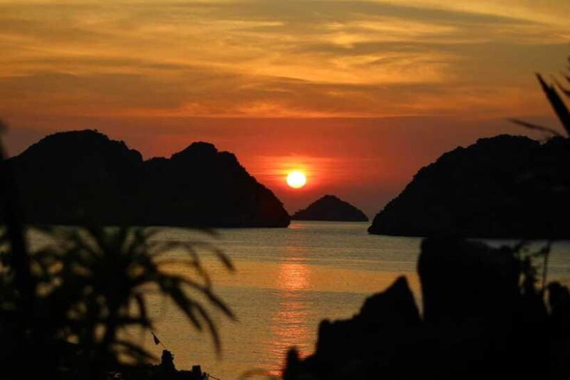 Lan Ha Bay: Bioluminescent Plankton Kayak Tour from Beo Pier - Practical Tips for Travelers