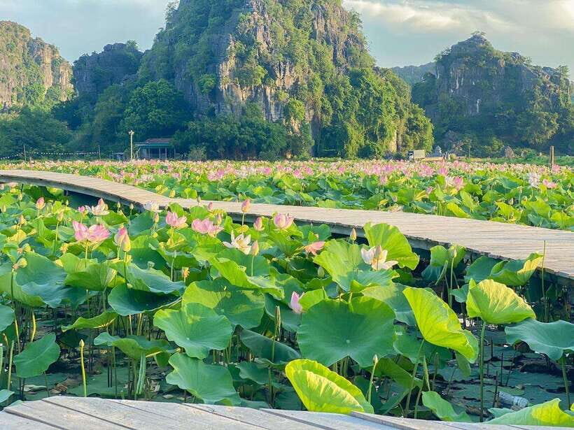 Lan Ha Bay & Cat Ba 2-Day Tour from Hanoi (Sleep at Hotel) - An In-Depth Look at the Tour Experience