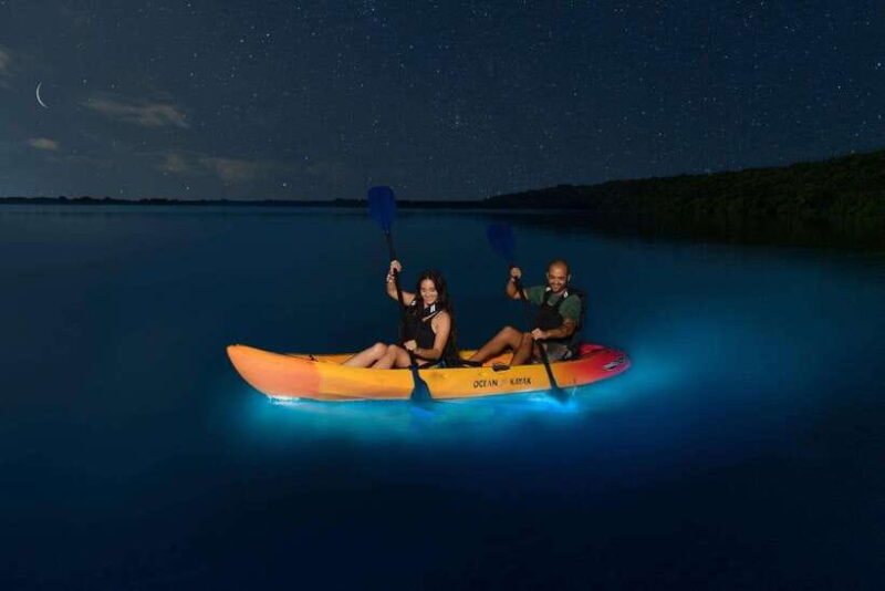Lan Ha Bay | Night Kayaking Explore Bioluminescence Plankton - Practical Details & Value