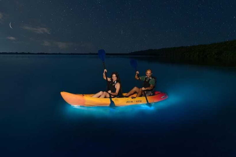 Lan Ha Bay | Night Kayaking Explore Bioluminescence Plankton - What Travelers Say