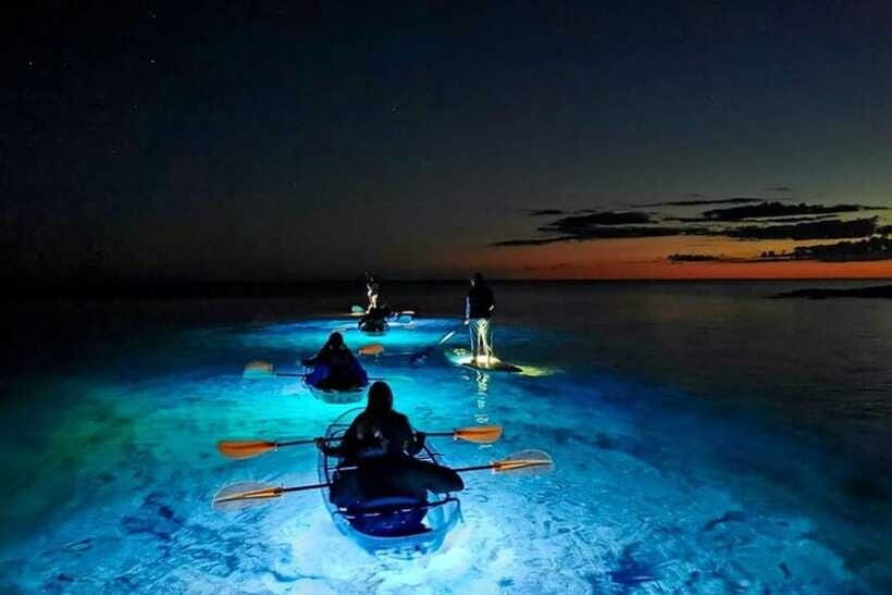 Lan Ha Bay: Night Kayaking to See Bioluminescent Plankton - Who Will Love This Tour?