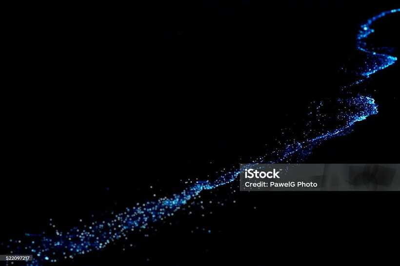 Lan Ha Bay: Night Kayaking to See Bioluminescent Plankton - FAQ