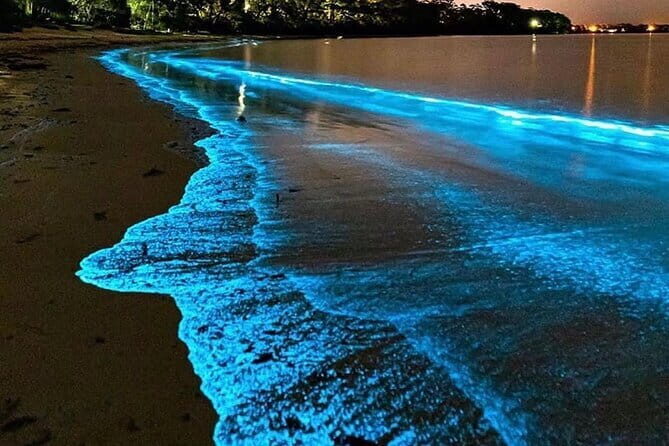 Lan Ha Bay Sunset and Plankton Bioluminescence Night Kayaking - Key Points
