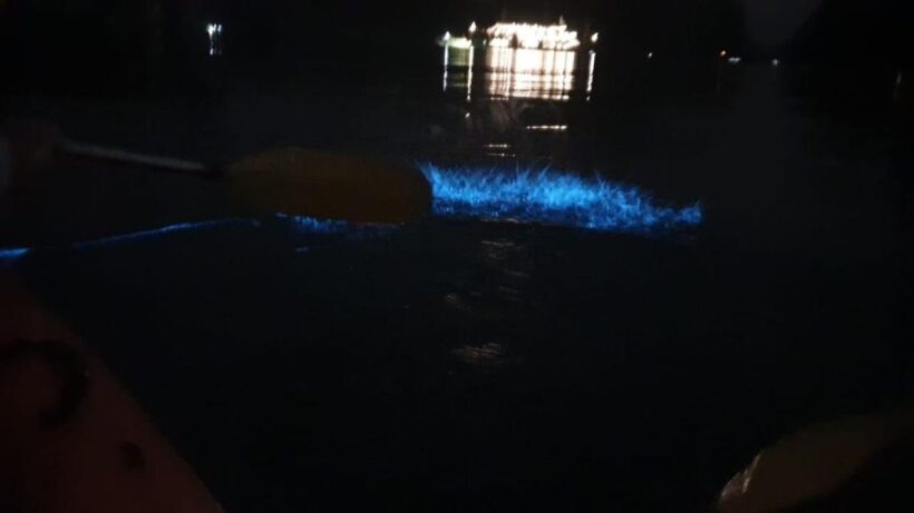 Lan Ha Bay: Sunset & Plankton Bioluminescent Night Kayaking - Final Thoughts