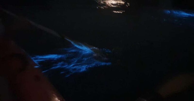 Lan Ha Bay: Sunset & Plankton Bioluminescent Night Kayaking - Final Thoughts: Is It for You?